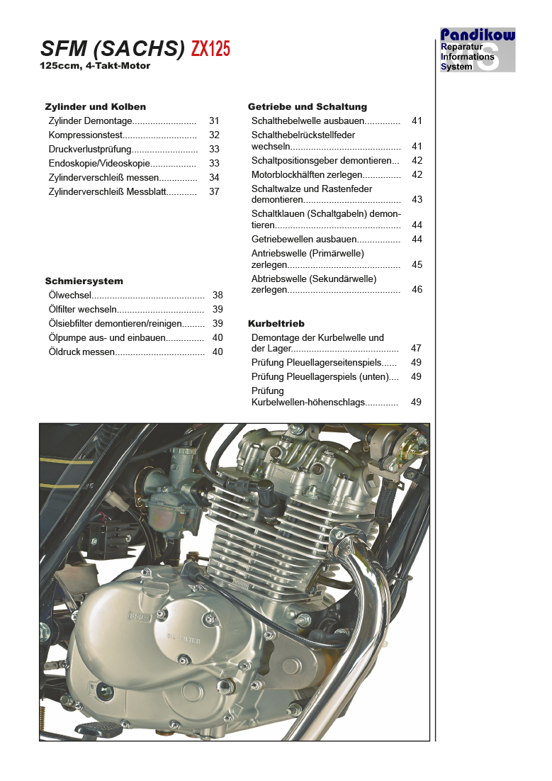 Pandikow Buch Reparaturanleitung RIS, SFM (SACHS) ZX125, Antrieb und ...