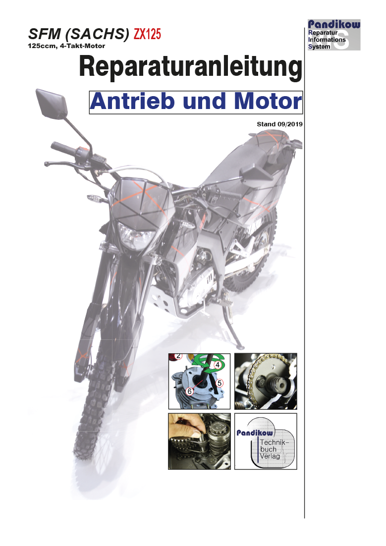 Pandikow Buch Reparaturanleitung RIS, SFM (SACHS) ZX125, Antrieb und ...